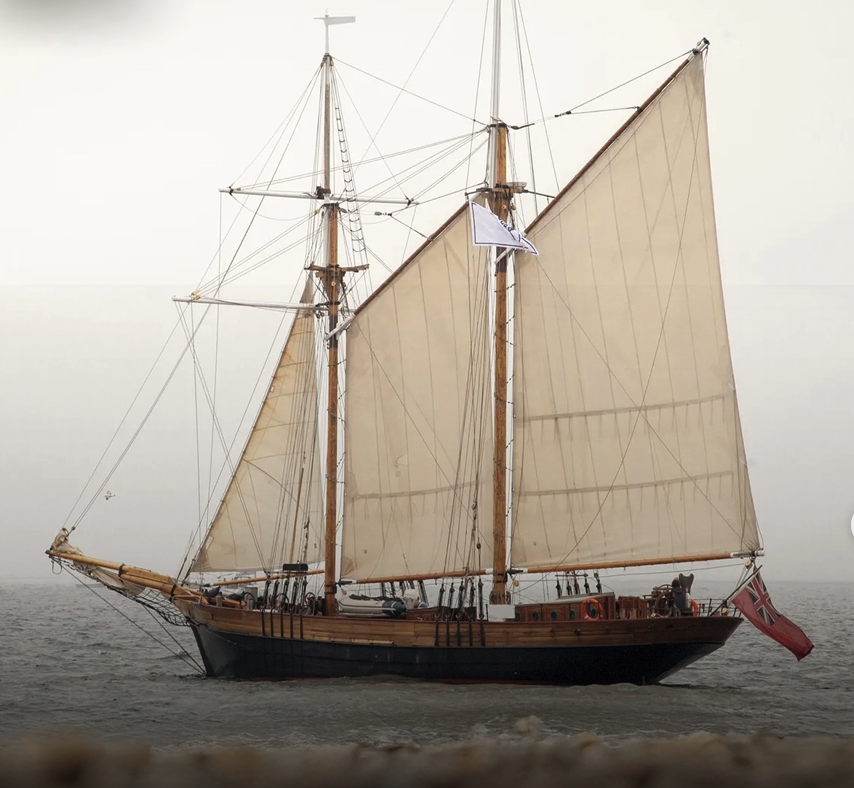 Skull found on New Jersey beach linked to 19th century shipwreck